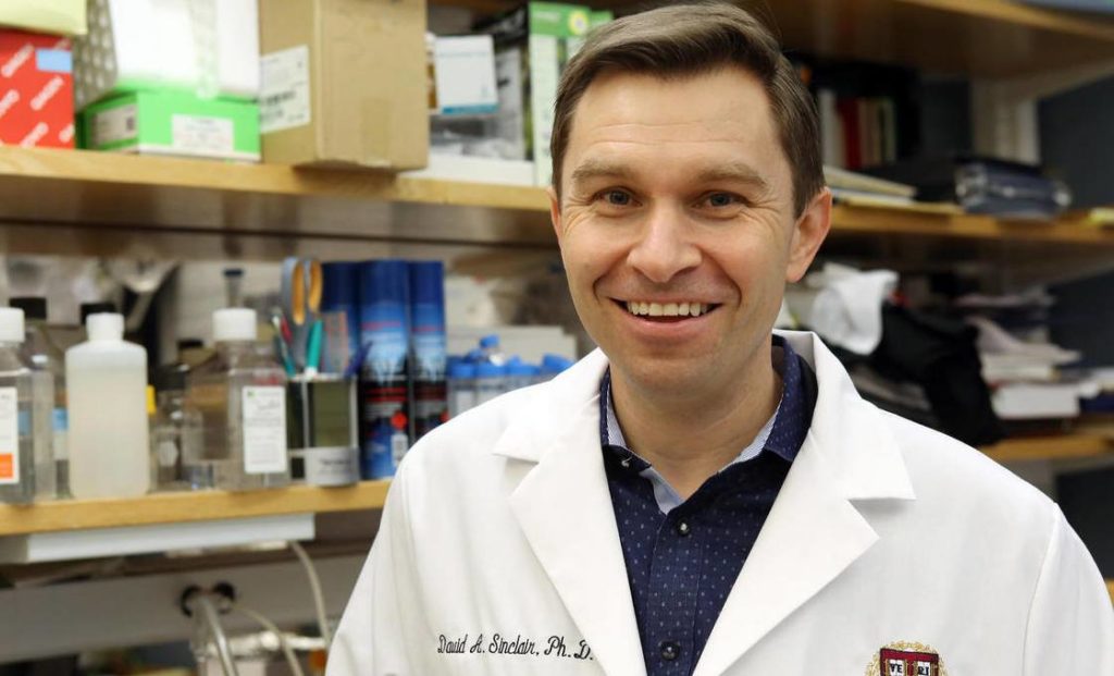 Dr. David Sinclair's Diet & Exercise Protocol - Brainflow